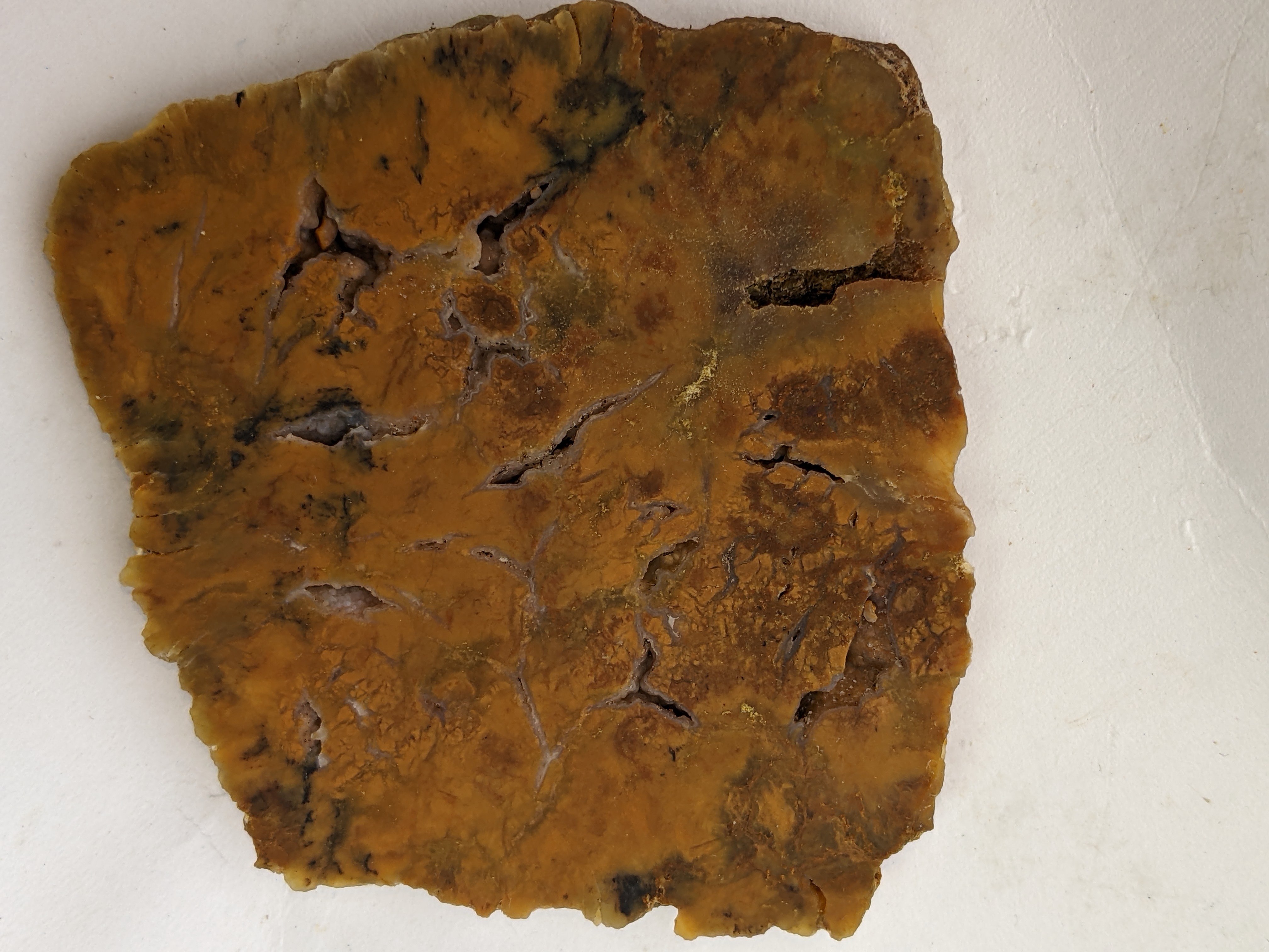 Slabs; maybe porcelain jasper, lake Havasu agate, unknown ag | Rock ...