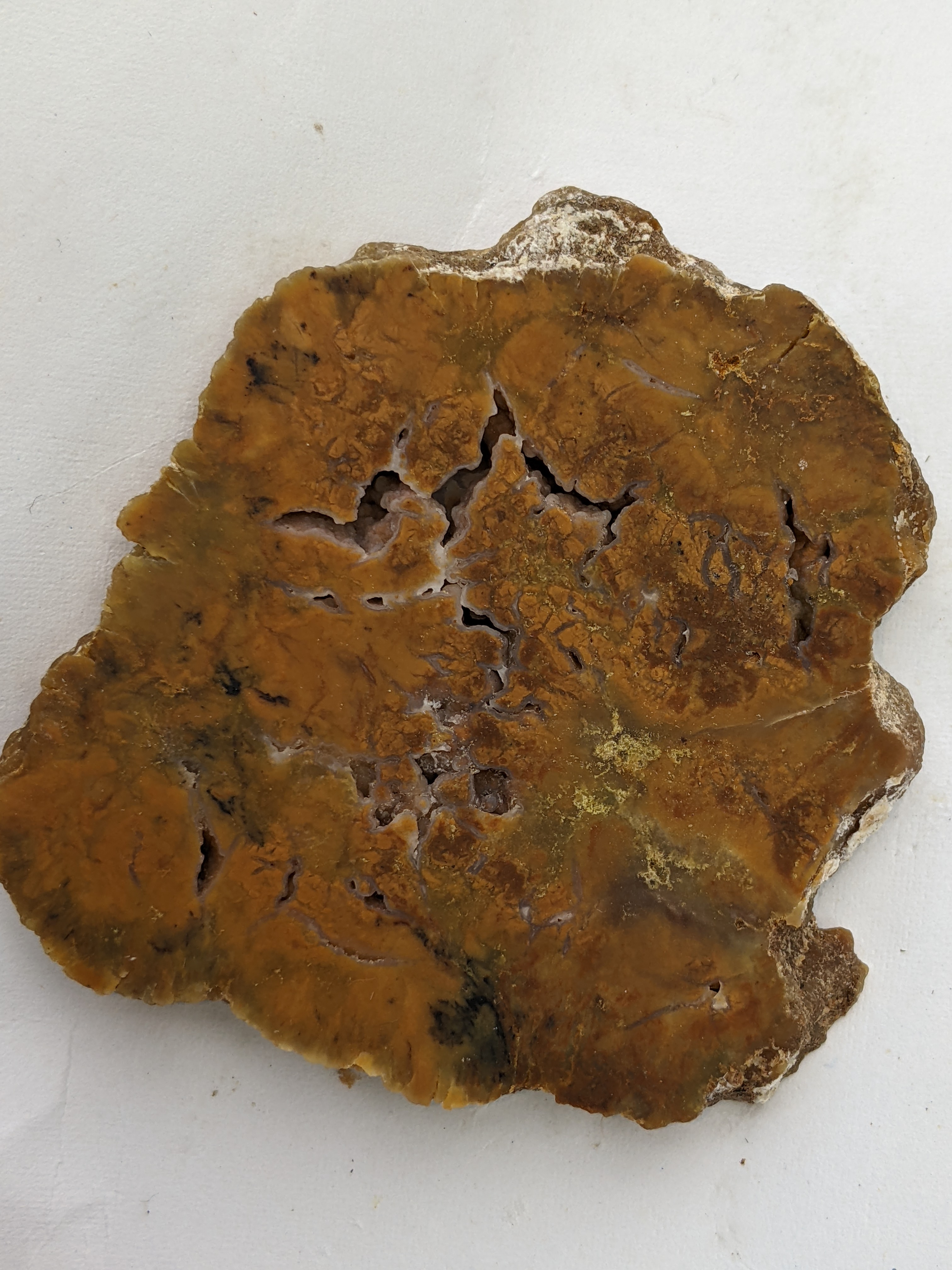 Slabs; maybe porcelain jasper, lake Havasu agate, unknown ag | Rock ...