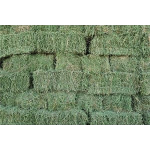 Equi-feeds Lucerne Chaff Mix 20kg | Agrimark