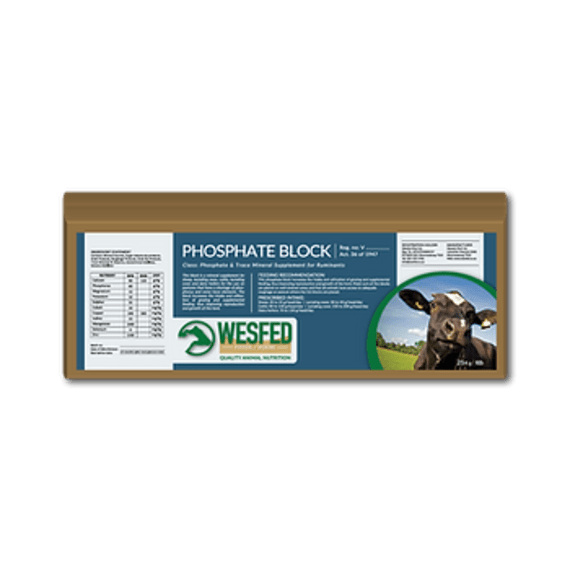 Wesfed Phosphate Block 25kg | Agrimark