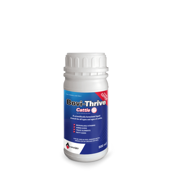 Antrovet Bovi Thrive Cattle | Agrimark