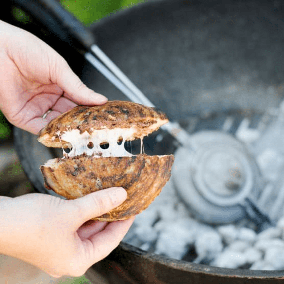 LK's Enamel Jaffle Maker Red | Agrimark