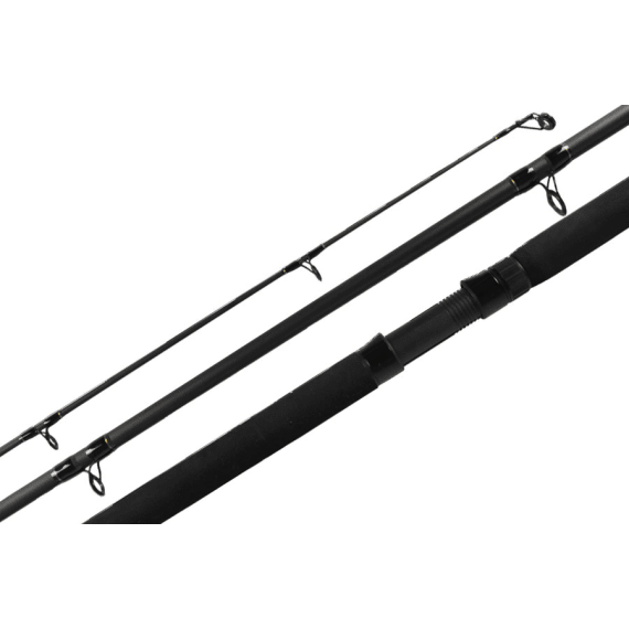 Penn Legion II Surf Rod | Agrimark