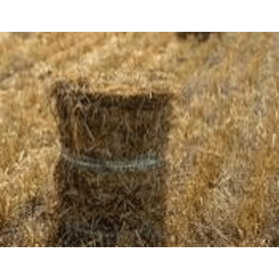 Bale Hay Small Round | Agrimark