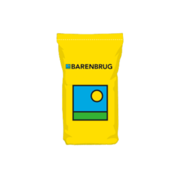 Barenbrug Ribeye Westerwold Ryegrass 25kg | Agrimark