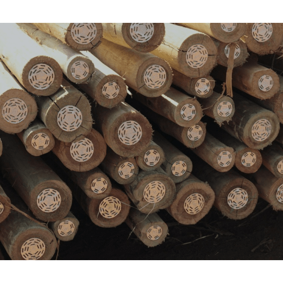 Pole Gum CCA H4 | Agrimark