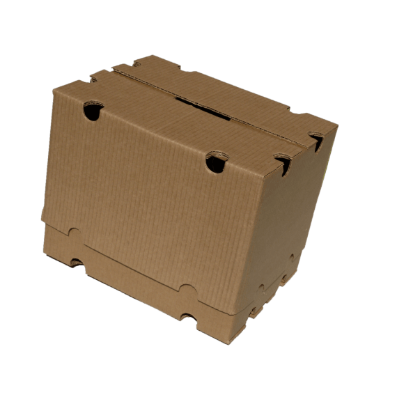 Carton Apple Mk4 Generic Inner P22 E/V -1 | Agrimark