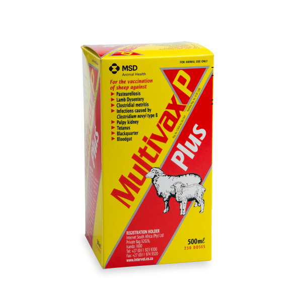 MSD Vaccine Multivax P Plus | Agrimark