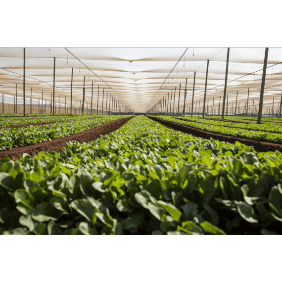 PLUSNET SHADE NETTING AGRI 40% | Agrimark