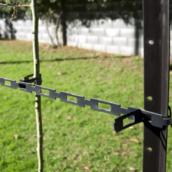 CAPE-AG CAP TREE TIE CHAINLOCK P/M | Agrimark