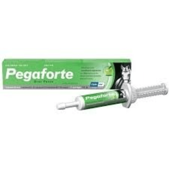 Ascendis Pega Forte Oral Paste 1x 10x10g | Agrimark