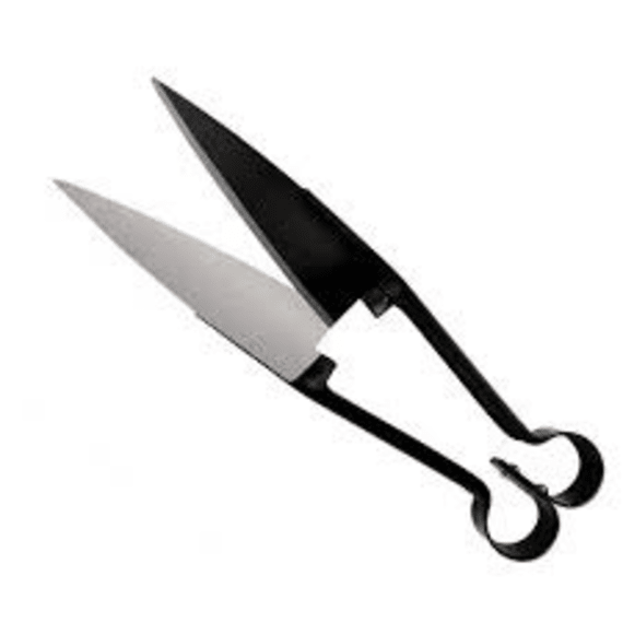 Shear Sheep | Agrimark