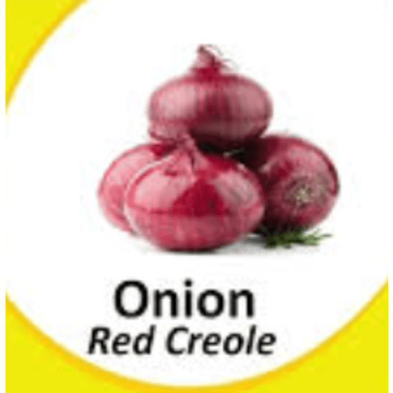 Asg Onion Red Creole 100g | Agrimark