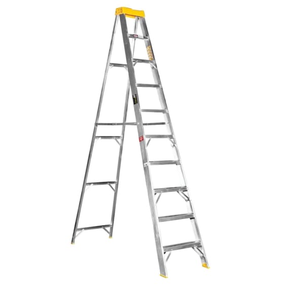 Academy Ladder Aluminium 10 Step 3m | Agrimark