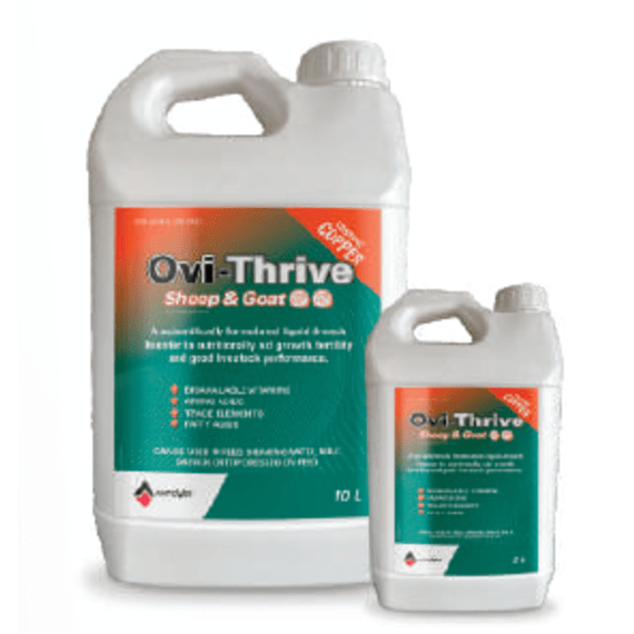 Antrovet Ovi Thrive Sheep And Goat 10l | Agrimark