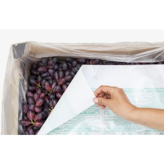 Amec Grape Sheet Mx/uv Wht 1.5x500 40mic | Agrimark