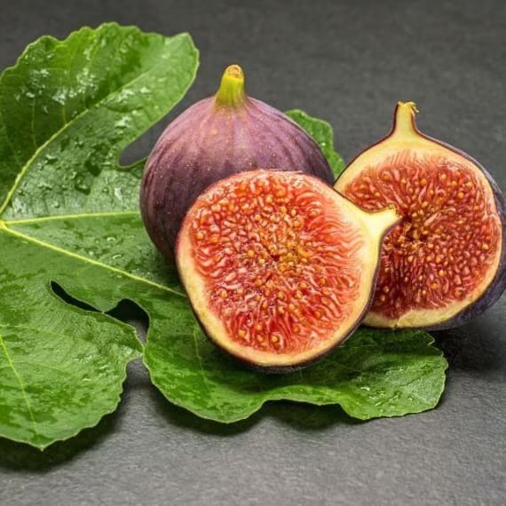 Fig Cape Brown | Agrimark