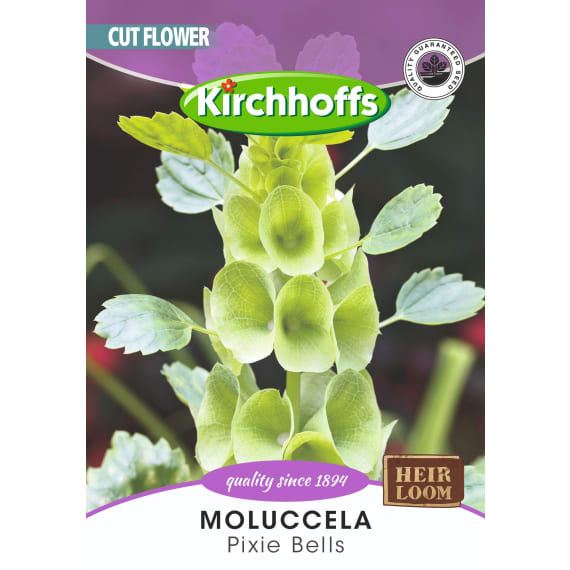 Kirchhoffs Molucella Pixie Bells | Agrimark