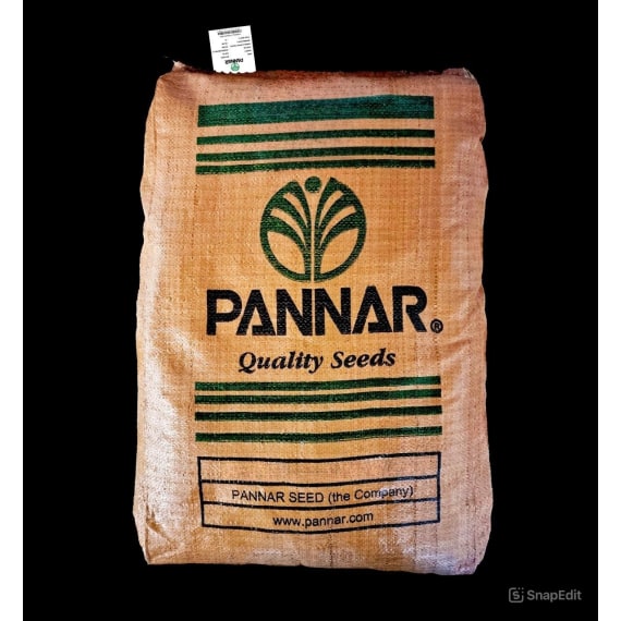Pannar Maize Yel Pan3p-912pw-zdq8 80mk | Agrimark