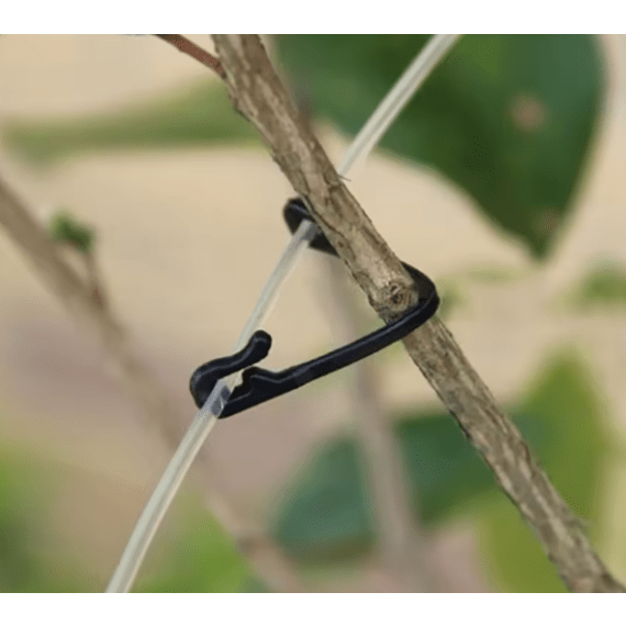 Clipt-on Vine Clips | Agrimark
