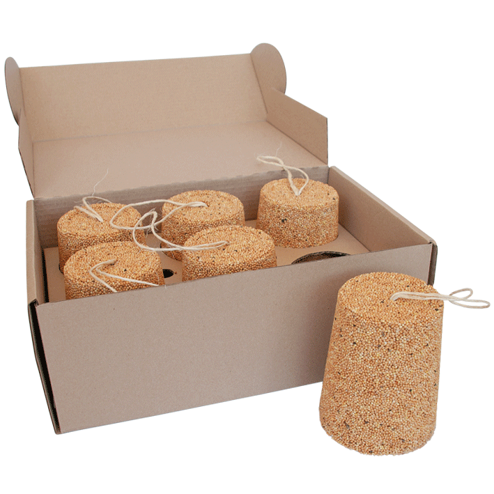 Westerman's Wild Bird Seed Bell Box | Agrimark