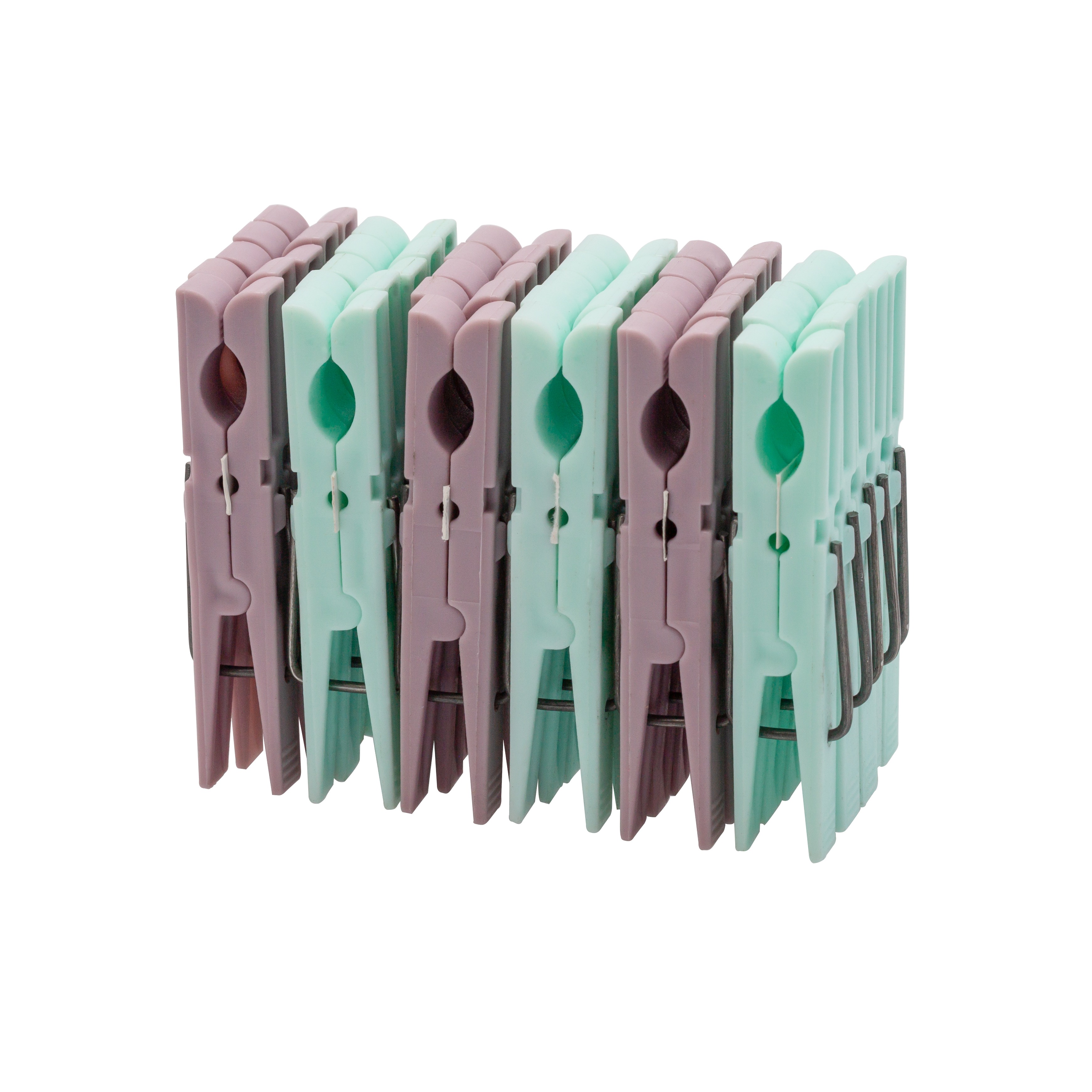 Evo Spring Pegs Assorted 30pk | Agrimark