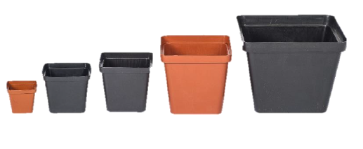 Pot Port Plastic Square Pot Black | Agrimark