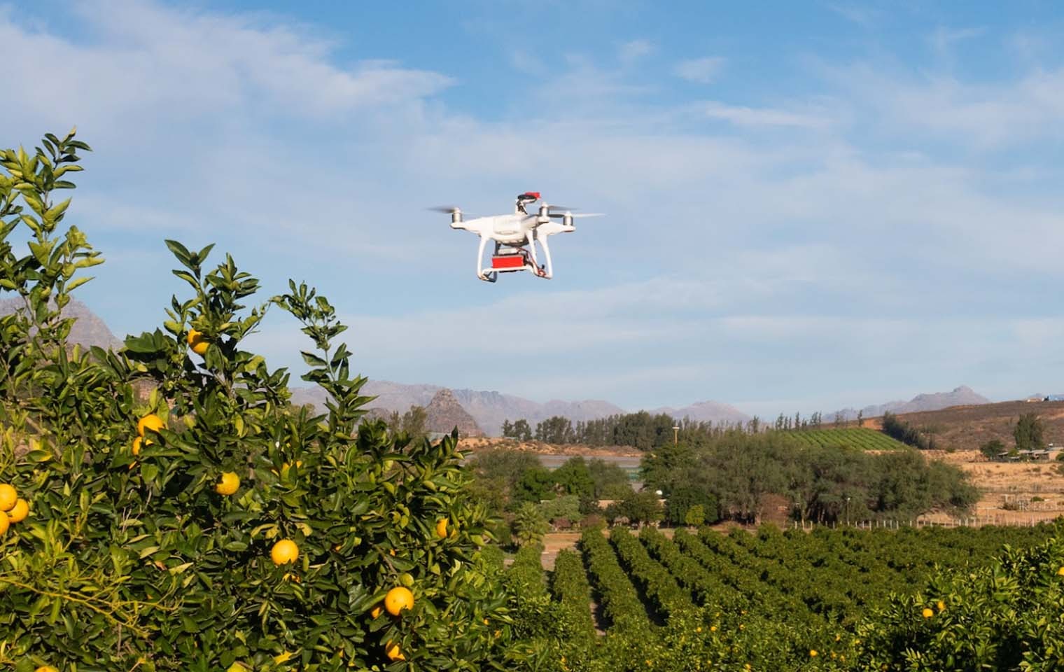 Aerobotics services now available through Agrimark | Agrimark