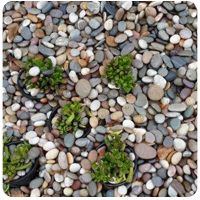 U/stone Pebble Marine 13mm 14dm | Agrimark