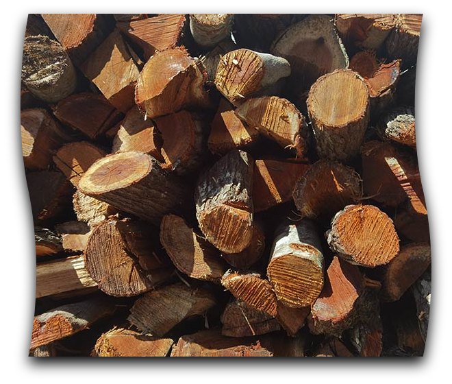 Rooikrans Wood Per Piece | Agrimark