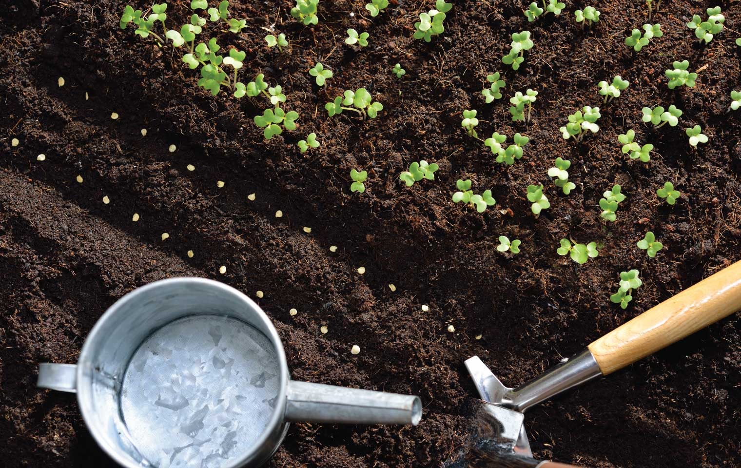 Sowing Guide | Agrimark