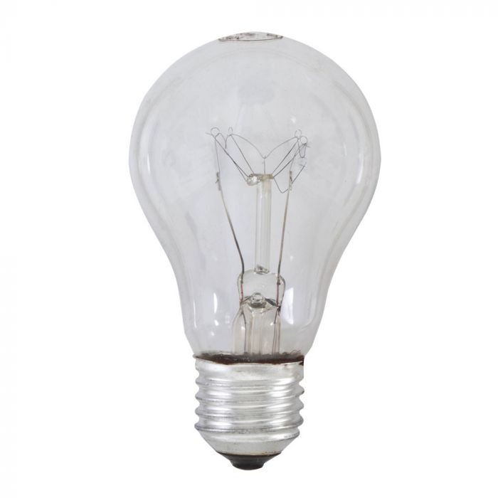 Rough Service Lamps 100w Es | Agrimark