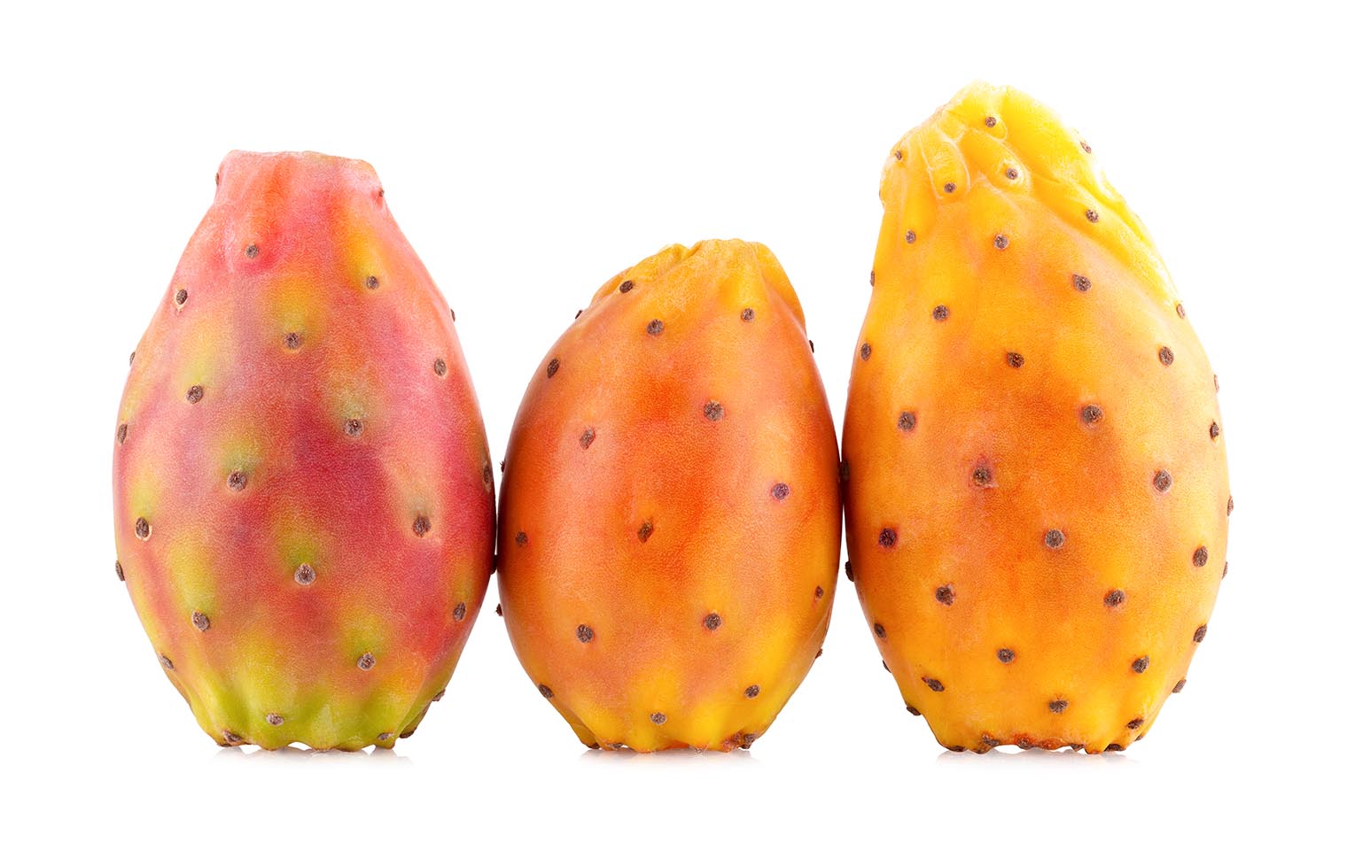 Prickly pears - a thorny delight! | Agrimark