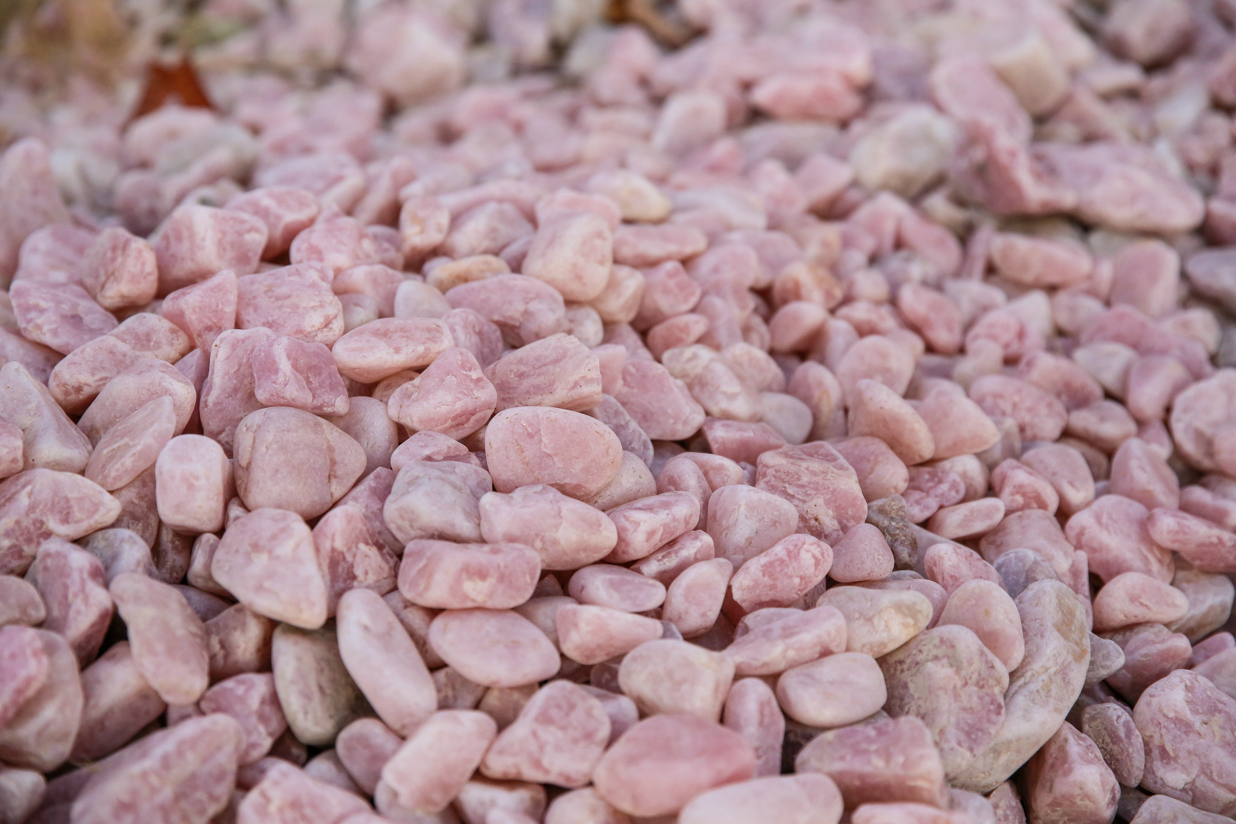 Bushmanland Rose Quartz 10kg | Agrimark