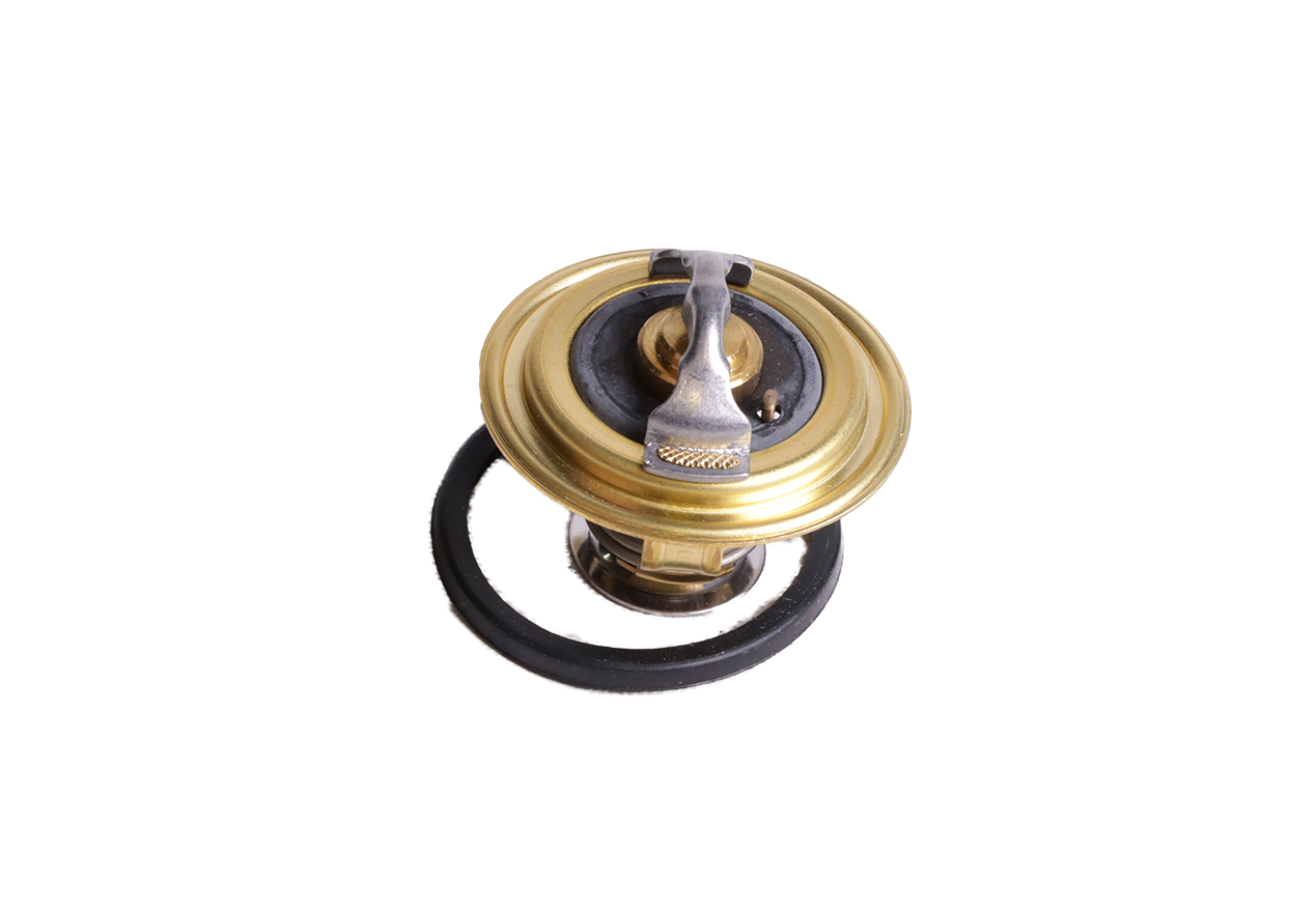 Thermostat - 98463637 | Agrimark