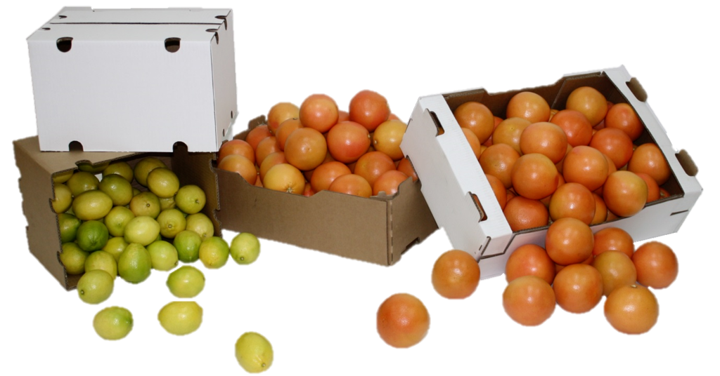 Carton Tomato Generic | Agrimark