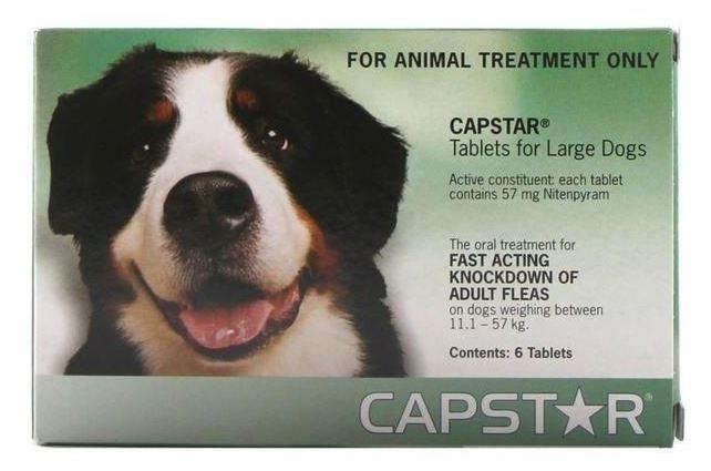 Capstar 57mg Large | Agrimark