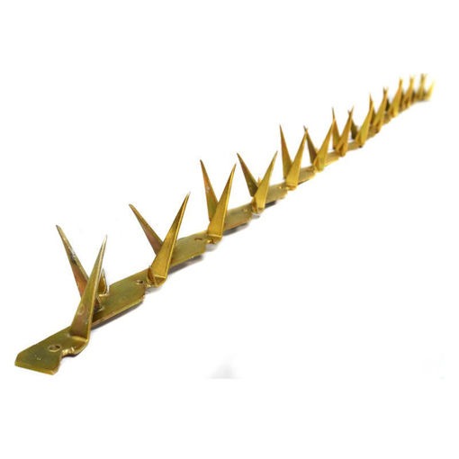 Spikes Wall Gold MK2 30mm 1.5m | Agrimark