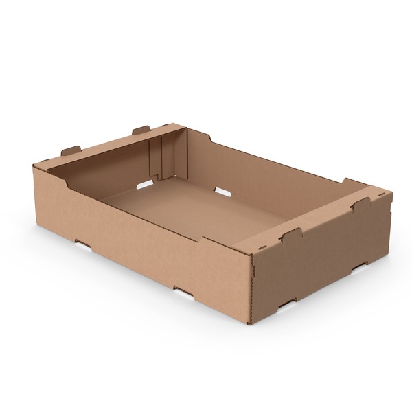 New Era Carton Citrus Generic Local 10kg - 25 | Agrimark