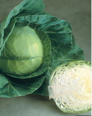 Seed Cabbage Glory Of Enkhuizen 100g | Agrimark