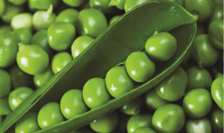 Seed Peas Greenfeast 500g | Agrimark