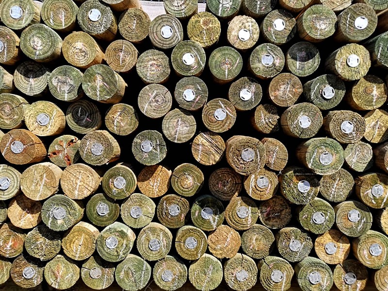 SCP Pole Pine CREO H4 | Agrimark