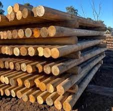 SCP Pole Pine CCA H4 | Agrimark