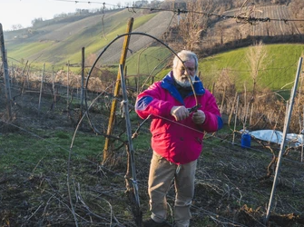 Olco Knife Hop Pruning 9086 | Agrimark