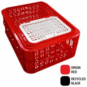 Poltek Chicken Crate (coop Assembled) | Agrimark