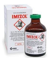MSD Imizol 100ml | Agrimark