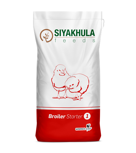 Siyakhula Starter Crumble 25kg | Agrimark