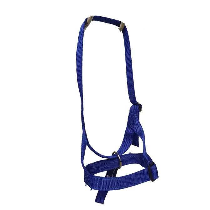Solo Halter Foal Baby Slip | Agrimark