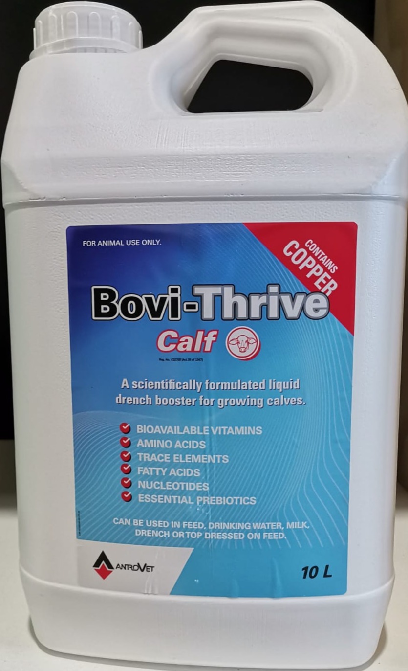 Antrovet Bovi Thrive Calf 10lt | Agrimark