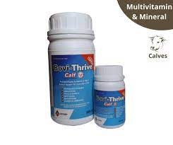 Antrovet Bovi-thrive Calf 100ml | Agrimark